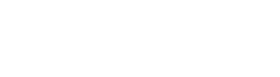 Reprise License Management Software