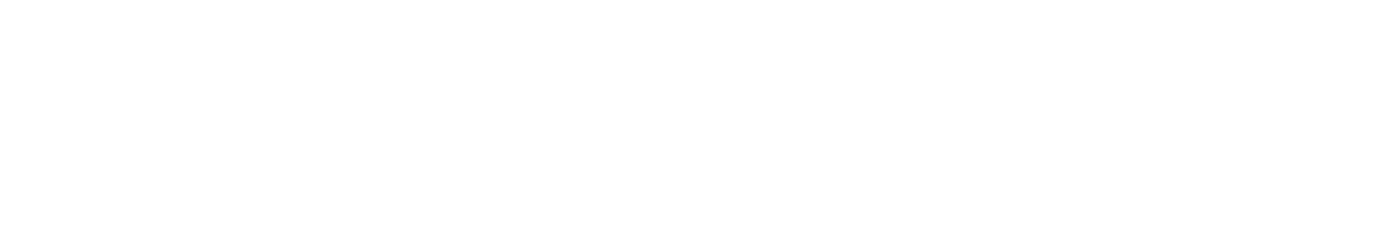 Reprise License Management Software