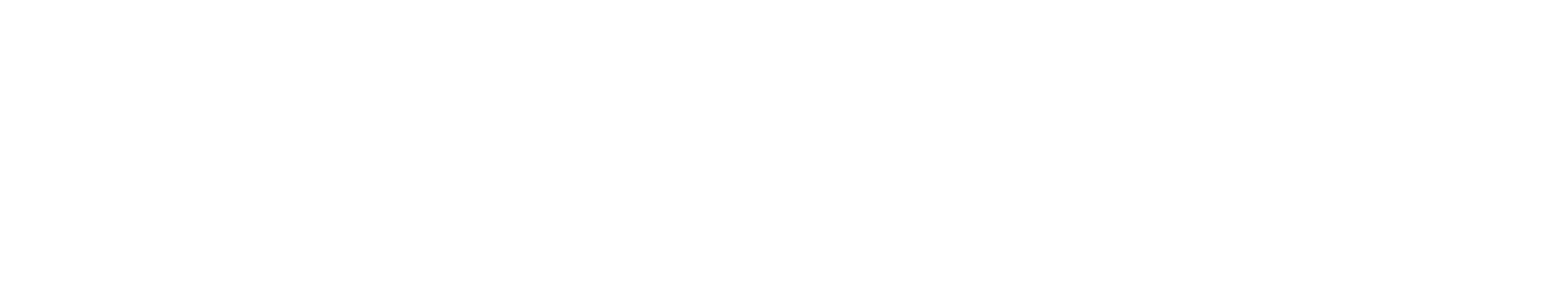 Reprise License Management Software