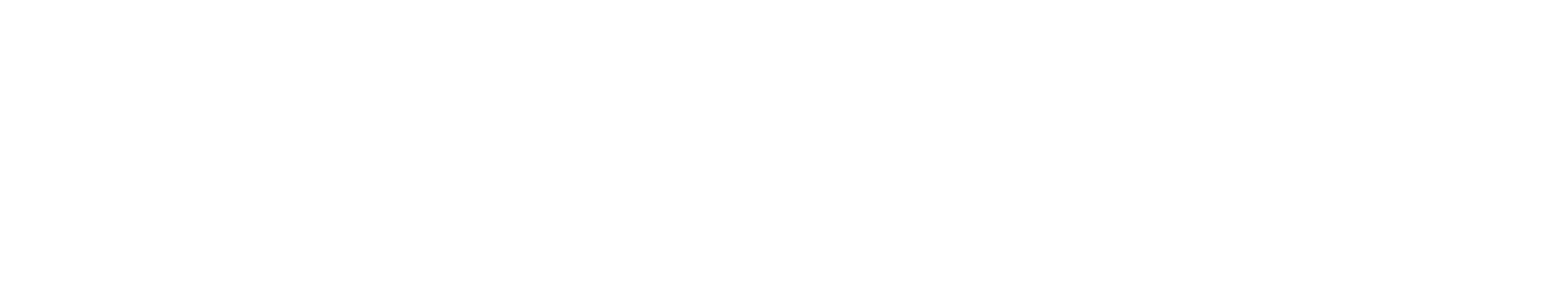 Reprise License Management Software