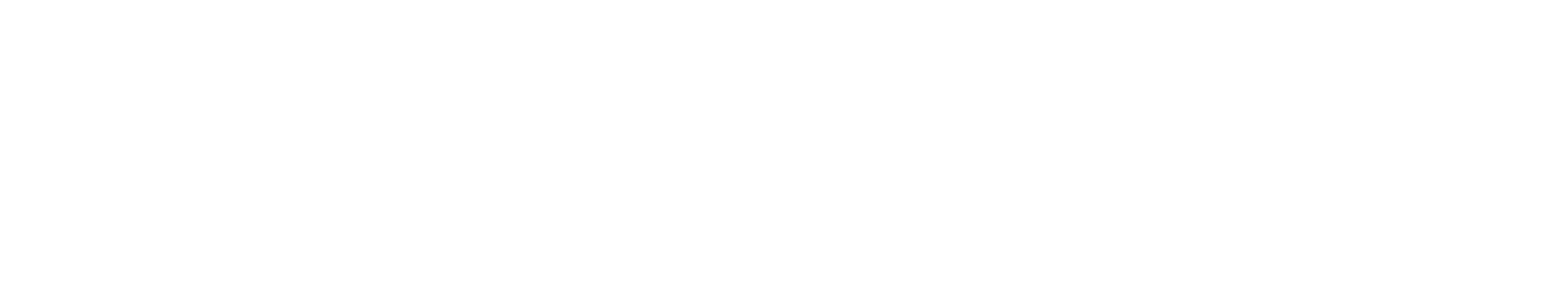 Reprise License Management Software