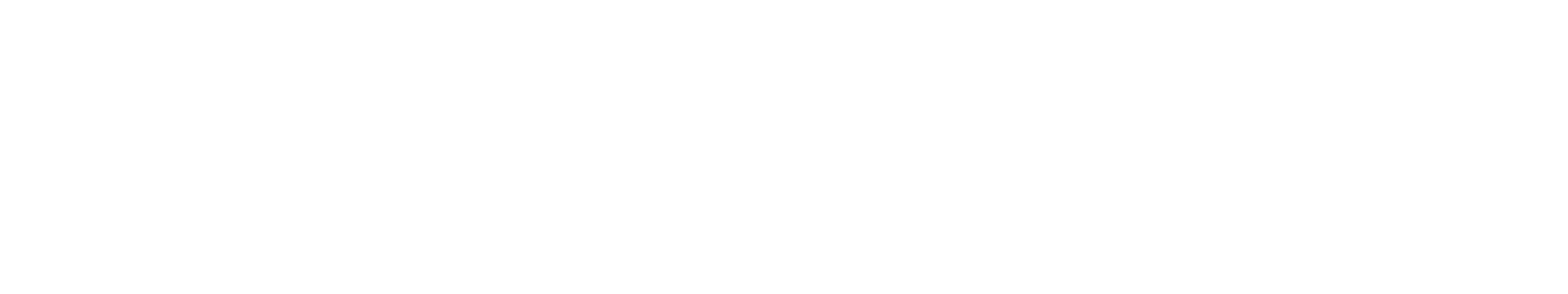 Reprise License Management Software