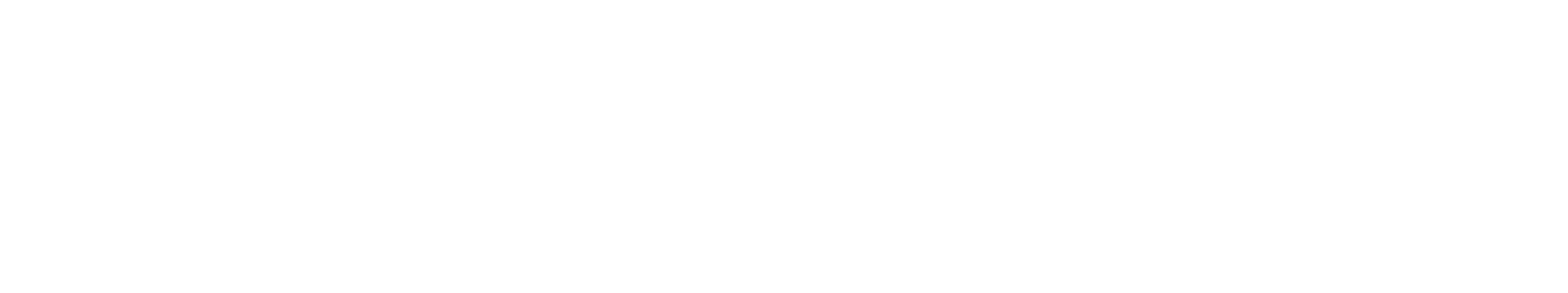 Reprise License Management Software