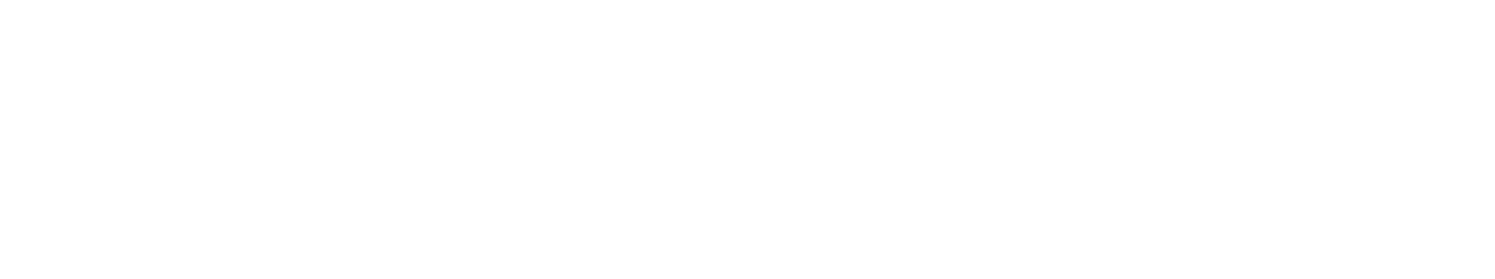 Reprise License Management Software