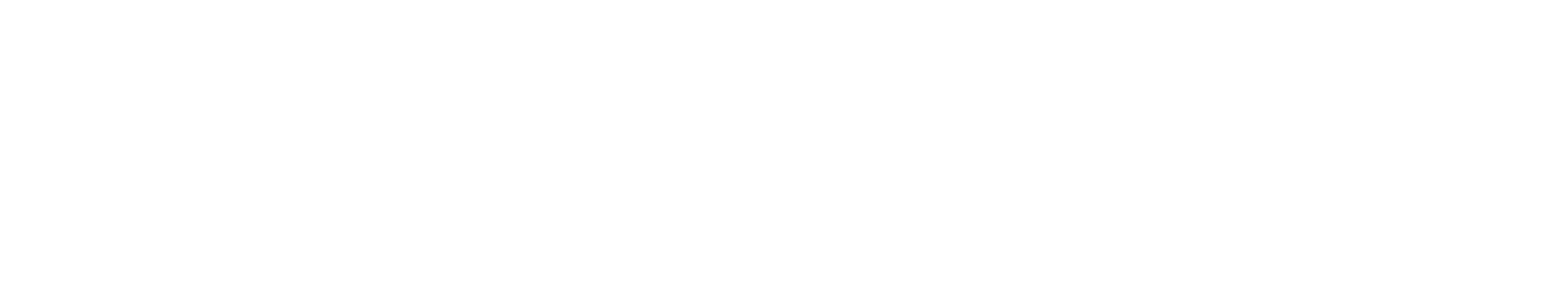 Reprise License Management Software